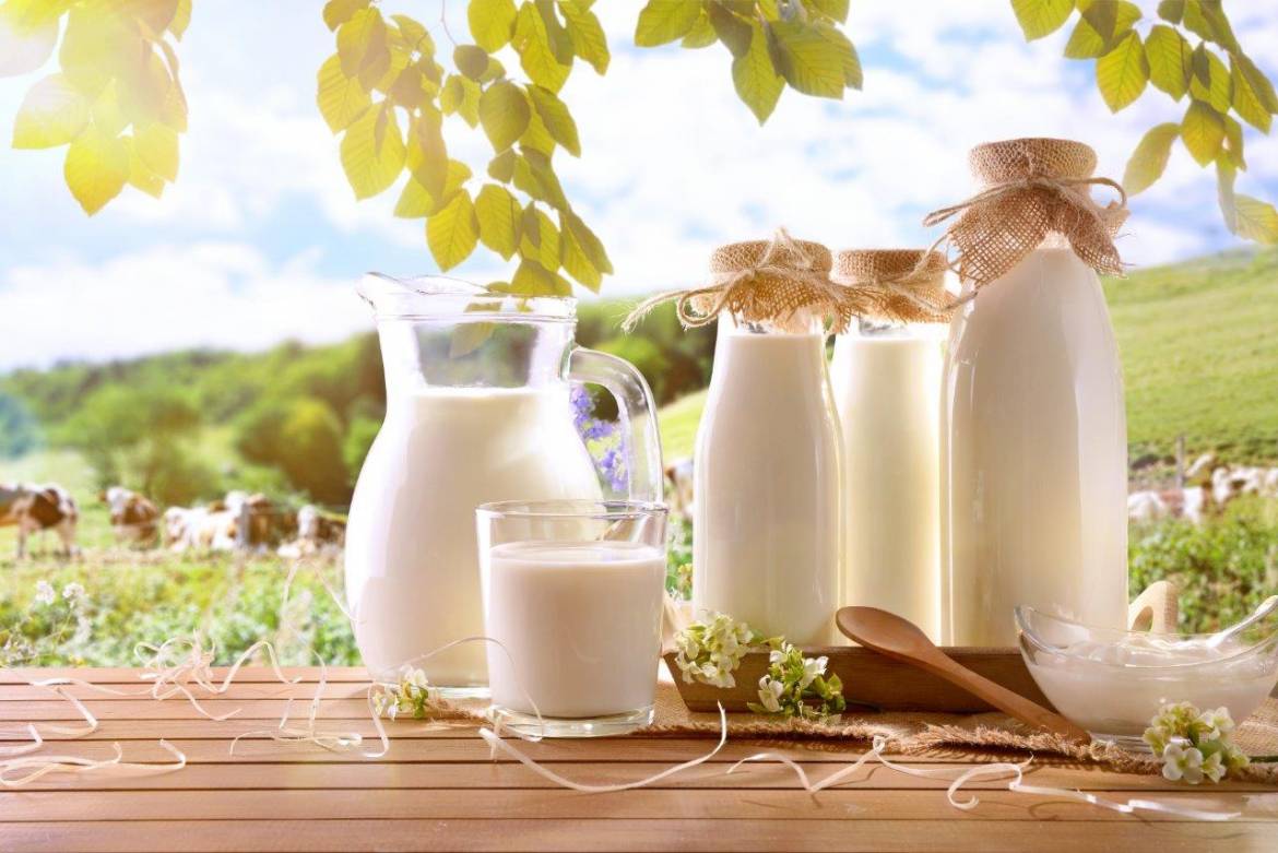 LAIT DE CHÈVRE • Hainaut Terre de Gouts
