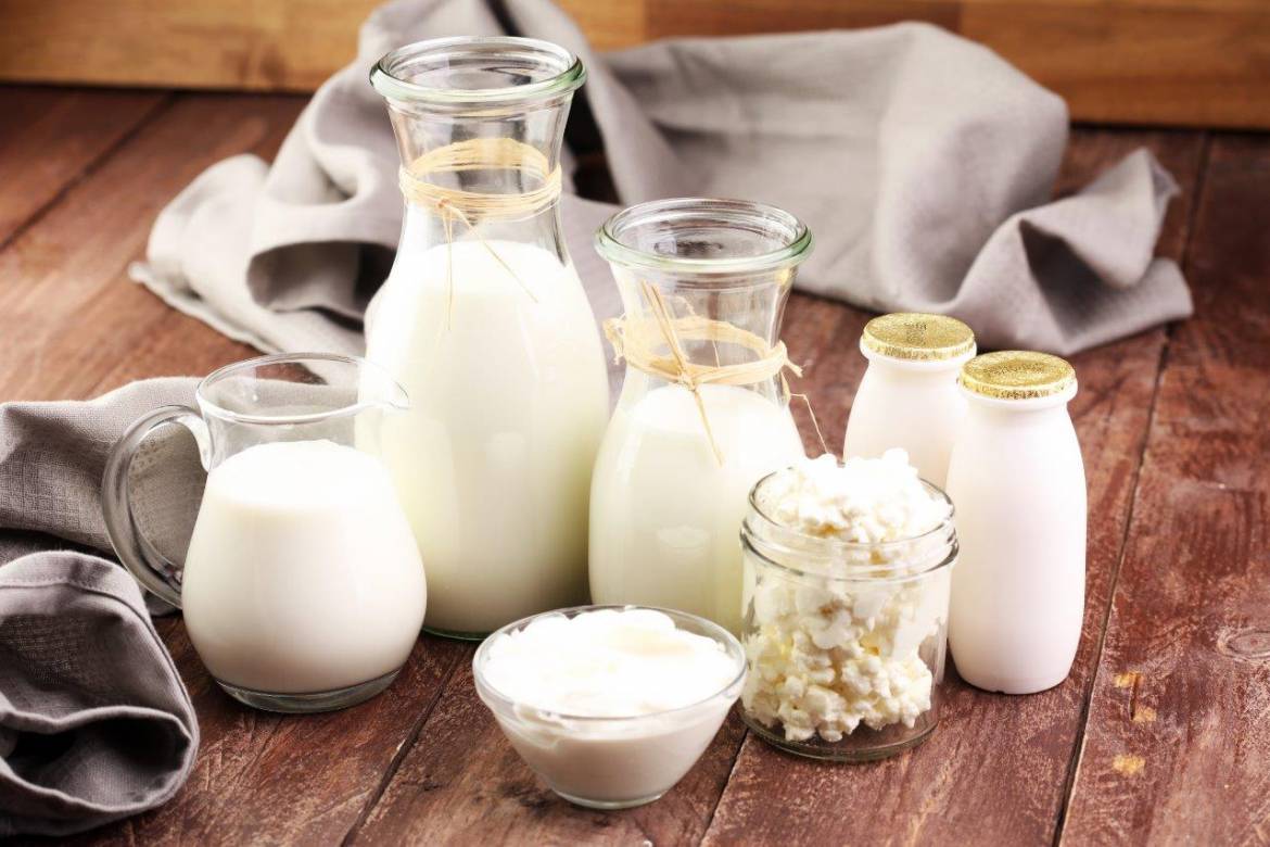PRODUITS LAITIERS BIO • Hainaut Terre de Gouts